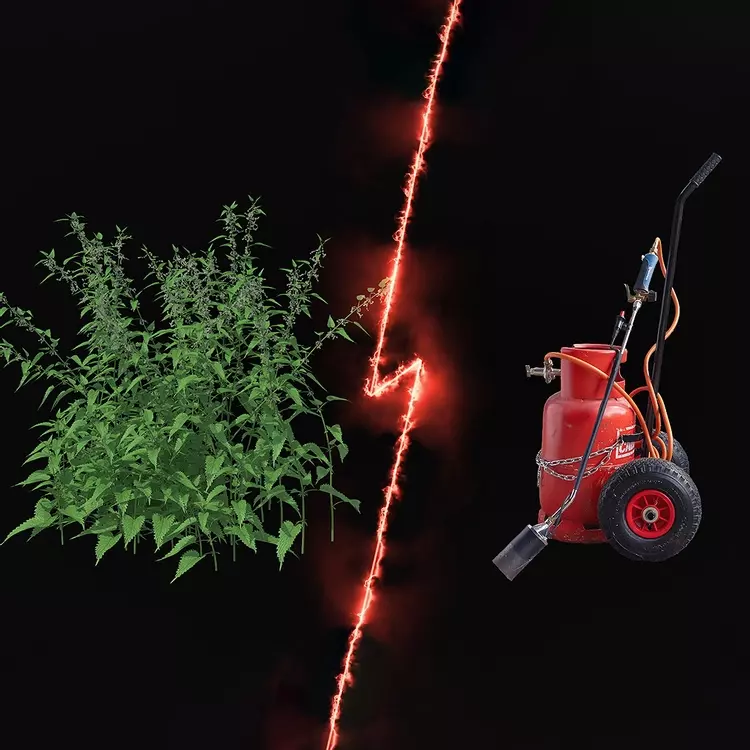 Grass burner propane store